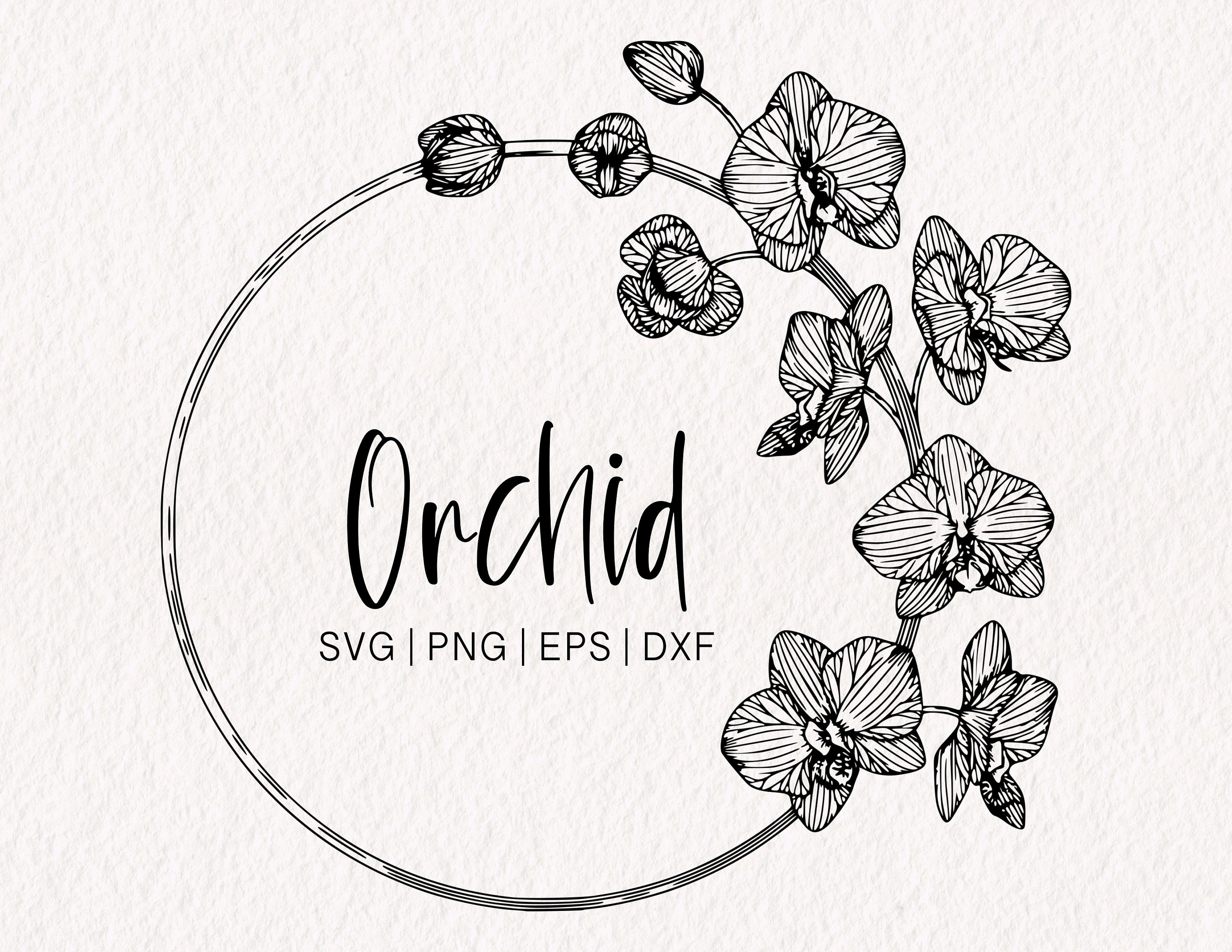 Orchid Vector Frame | Orchid SVG | Floral Outline Svg | Orchid Flower ...
