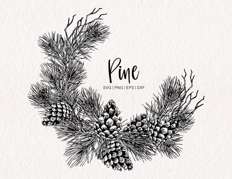 Pine Wreath SVG | Pine Cone SVG | Winter Wreath PNG | Pine Tree Vector ...