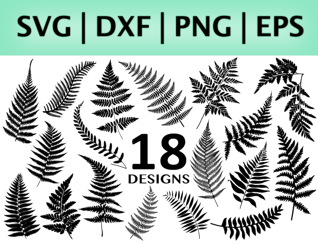 Fern SVG Bundle Silhouette Cut Files Cricut | Tropical Leaves SVG ...