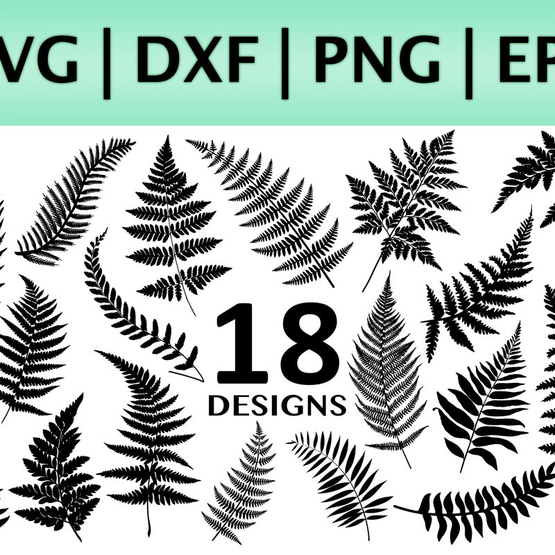 Fern Svg - Etsy