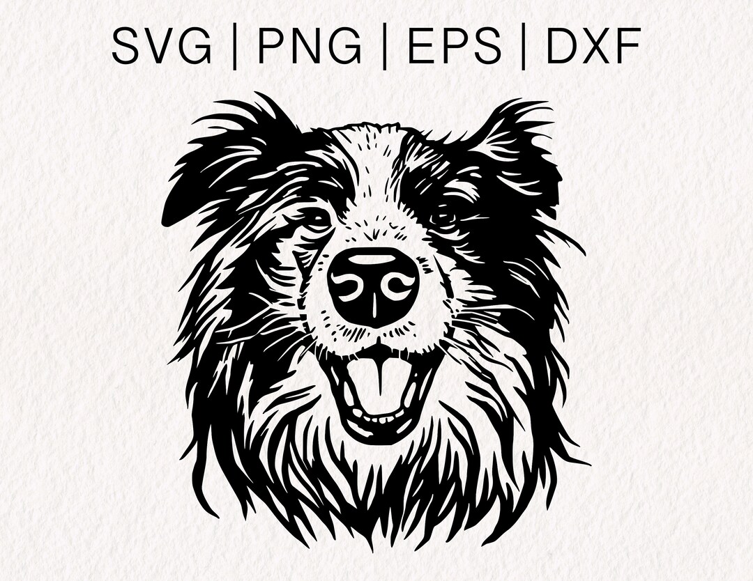 Border Collie SVG Smooth Collie Svg Dog Face Vector Sheltie Svg Svg Png ...