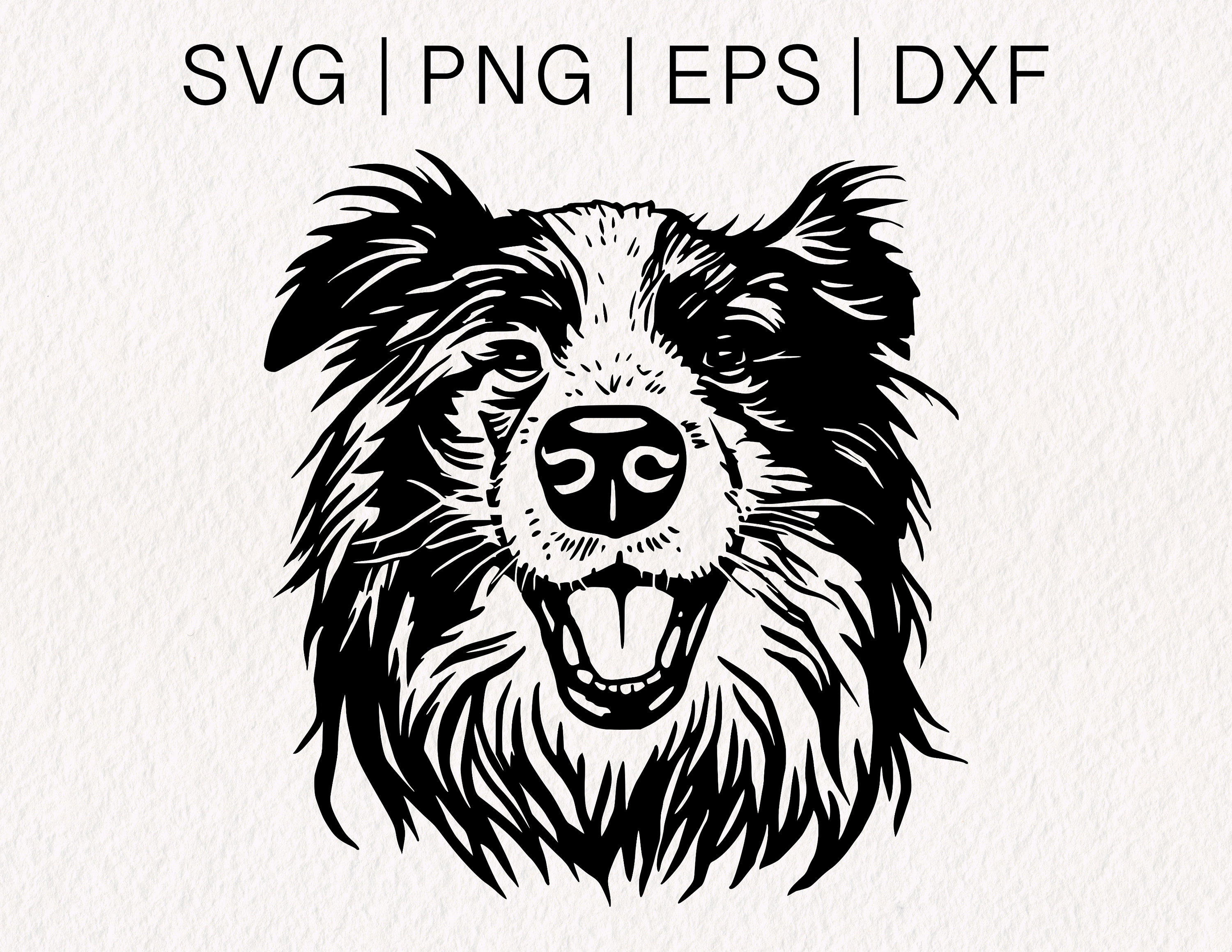 Border Collie SVG Smooth Collie Svg Dog Face Vector Sheltie Svg Svg Png ...