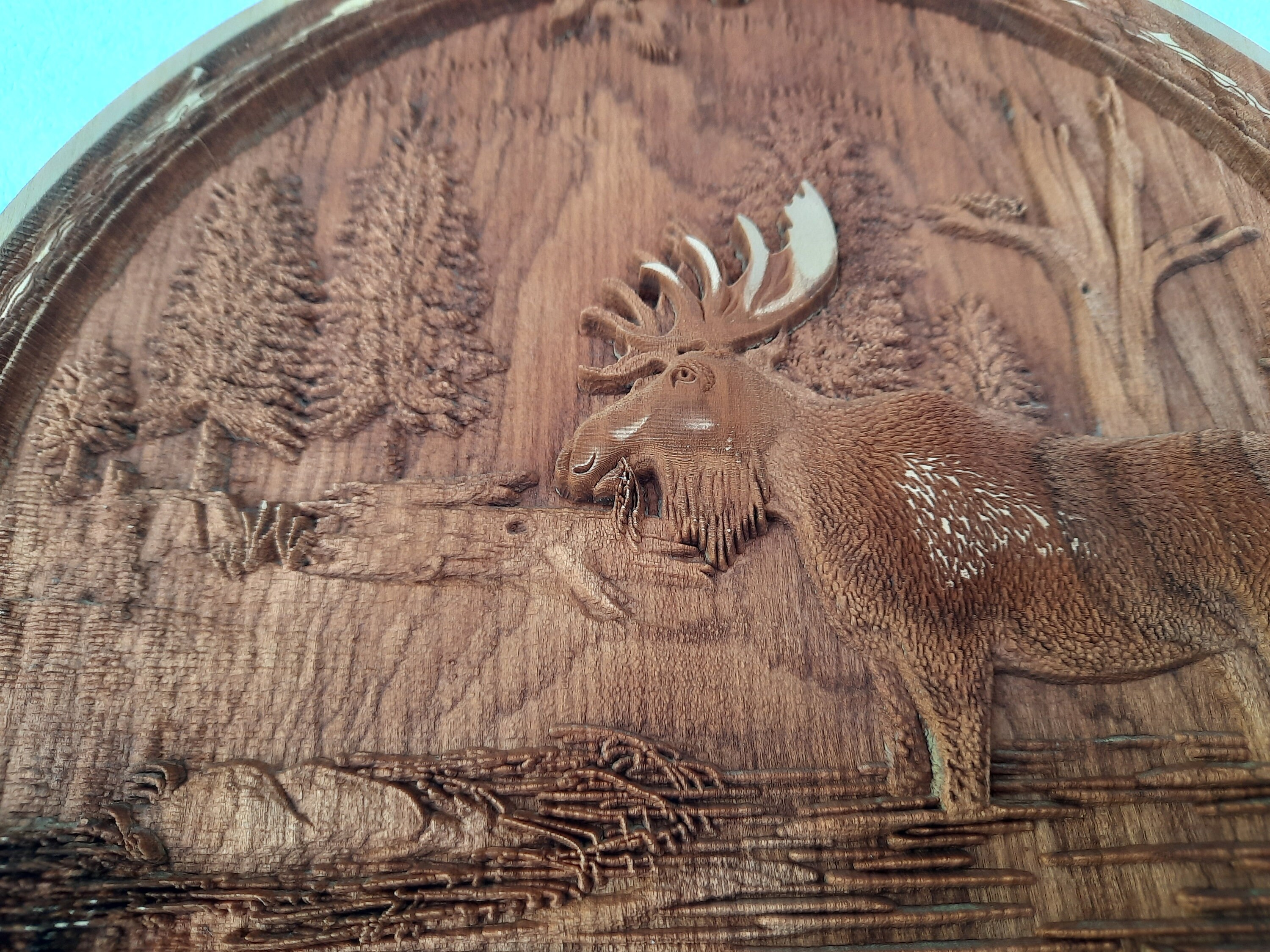 Wildlife Moose 3D Plaques on Cherry or Maple Wood - Etsy