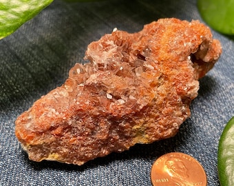 Orange Gypsum - Etsy