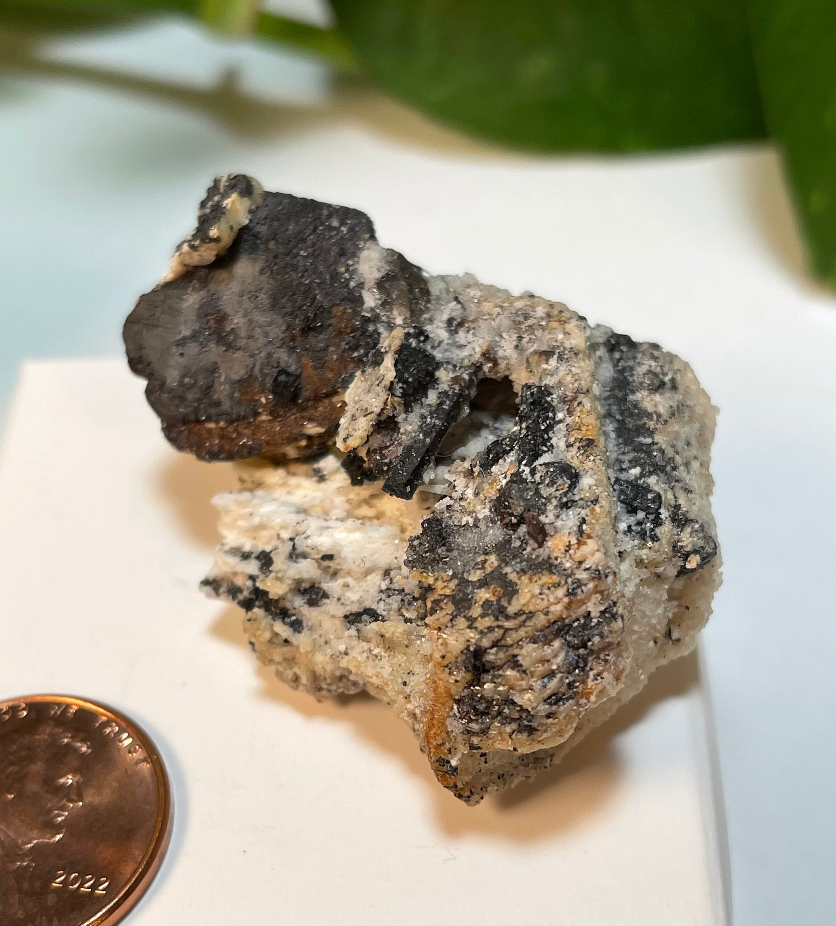 Goethite Pseudomorph of Siderite With Black Tourmaline on Etched Albite ...