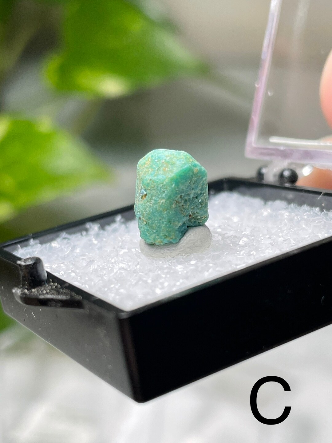 Turquoise Pseudomorph After Apatite, Thumbnail Specimens in 1" Perky ...