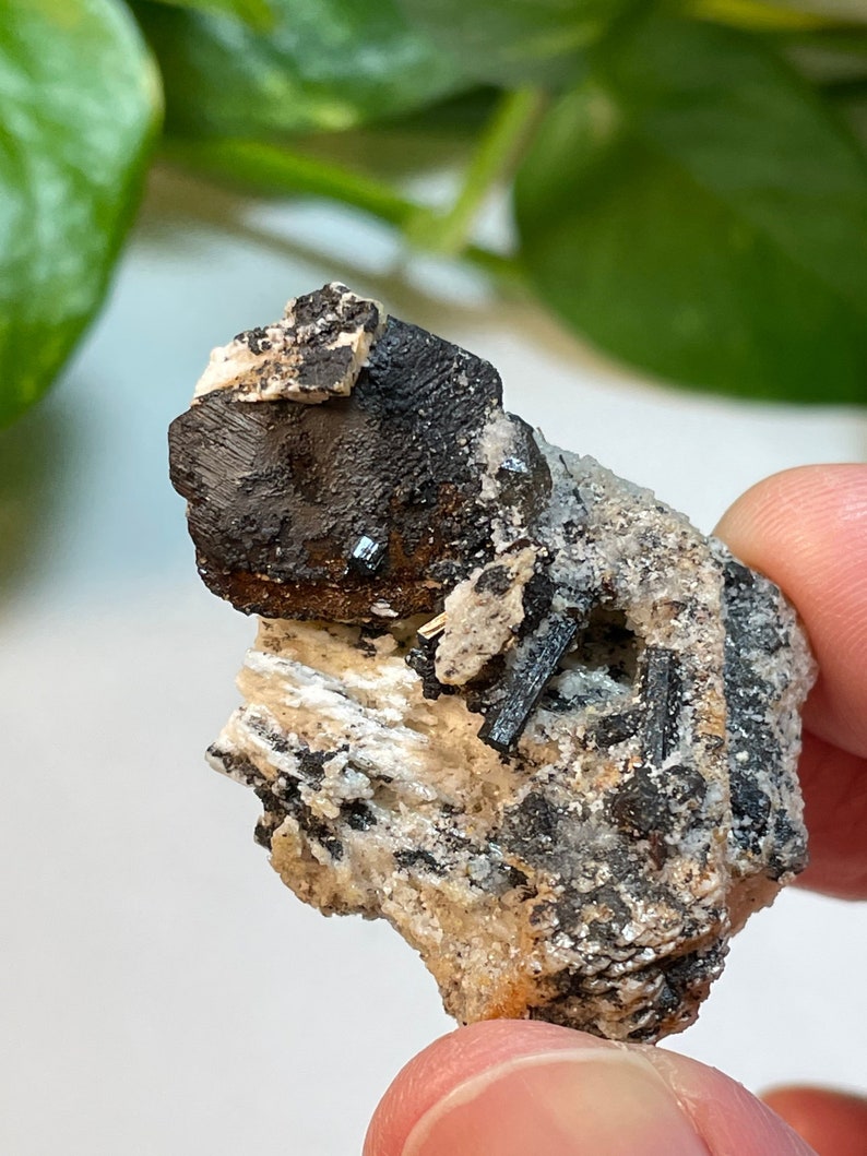 Goethite Pseudomorph of Siderite With Black Tourmaline on Etched Albite ...