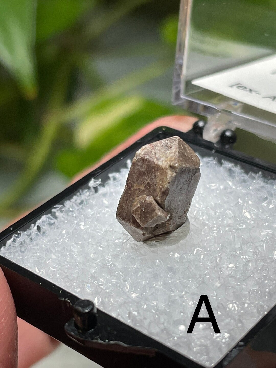 Zircon Crystals From North Carolina, Thumbnail-size in Perky Box, From ...