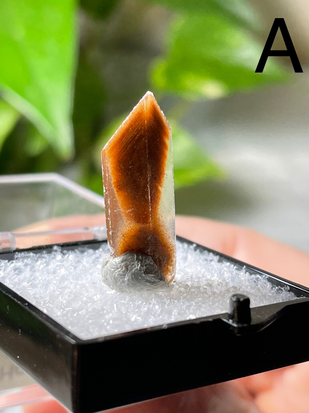 Hourglass Selenite Crystals, Thumbnail Size in Perky Boxes, From ...