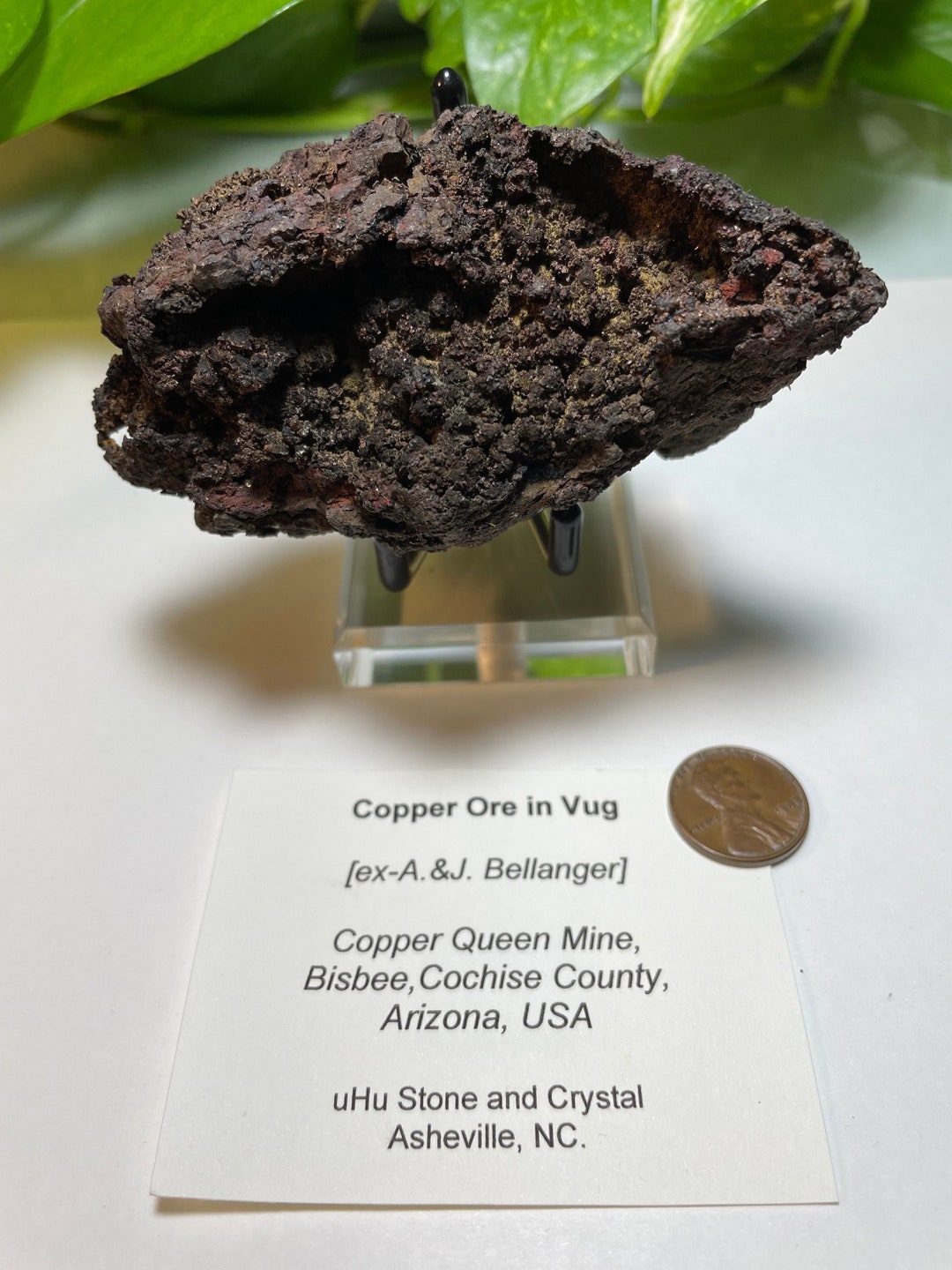 Copper Ore From Bisbee in Vug, Old Collection Specimen 3.75", From ...