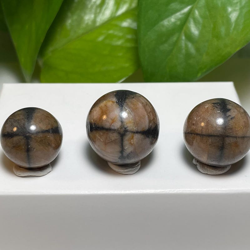 Chiastolite - Etsy