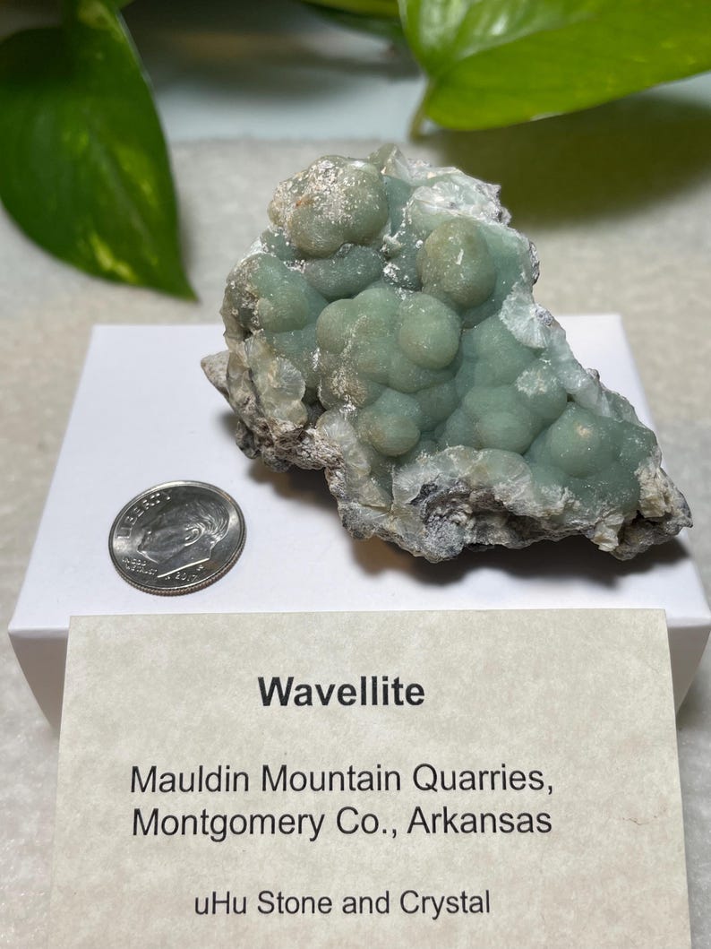 Wavellite With Crandallite Pseudomorphs of Wavellite, 2.5" Double-sided ...