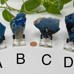 Shattuckite Polished Pieces, Beautiful Blue, With Cuprite, Quartz And ...