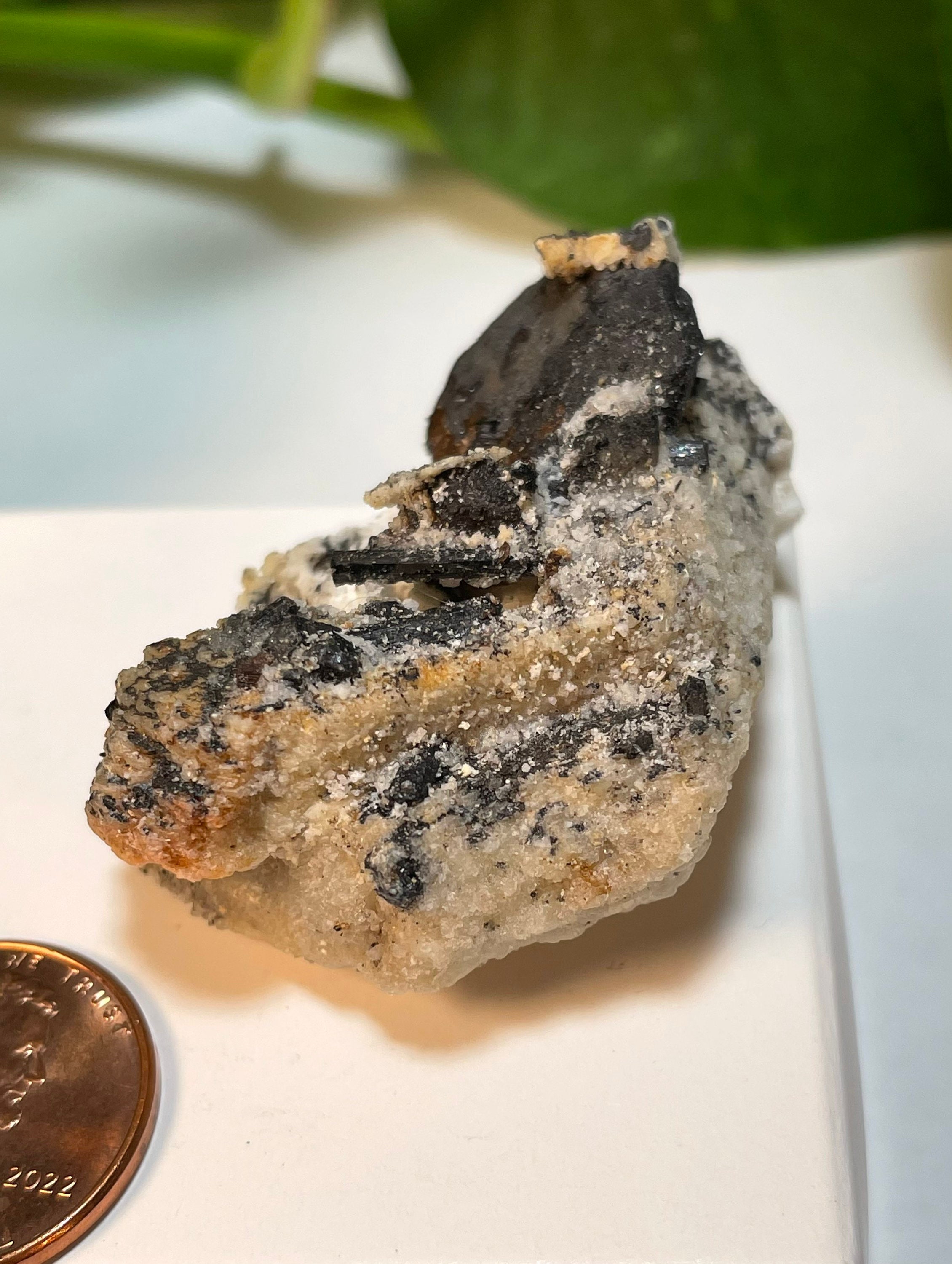 Goethite Pseudomorph of Siderite With Black Tourmaline on Etched Albite ...