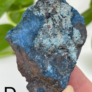 Shattuckite Polished Pieces, Beautiful Blue, With Cuprite, Quartz And ...