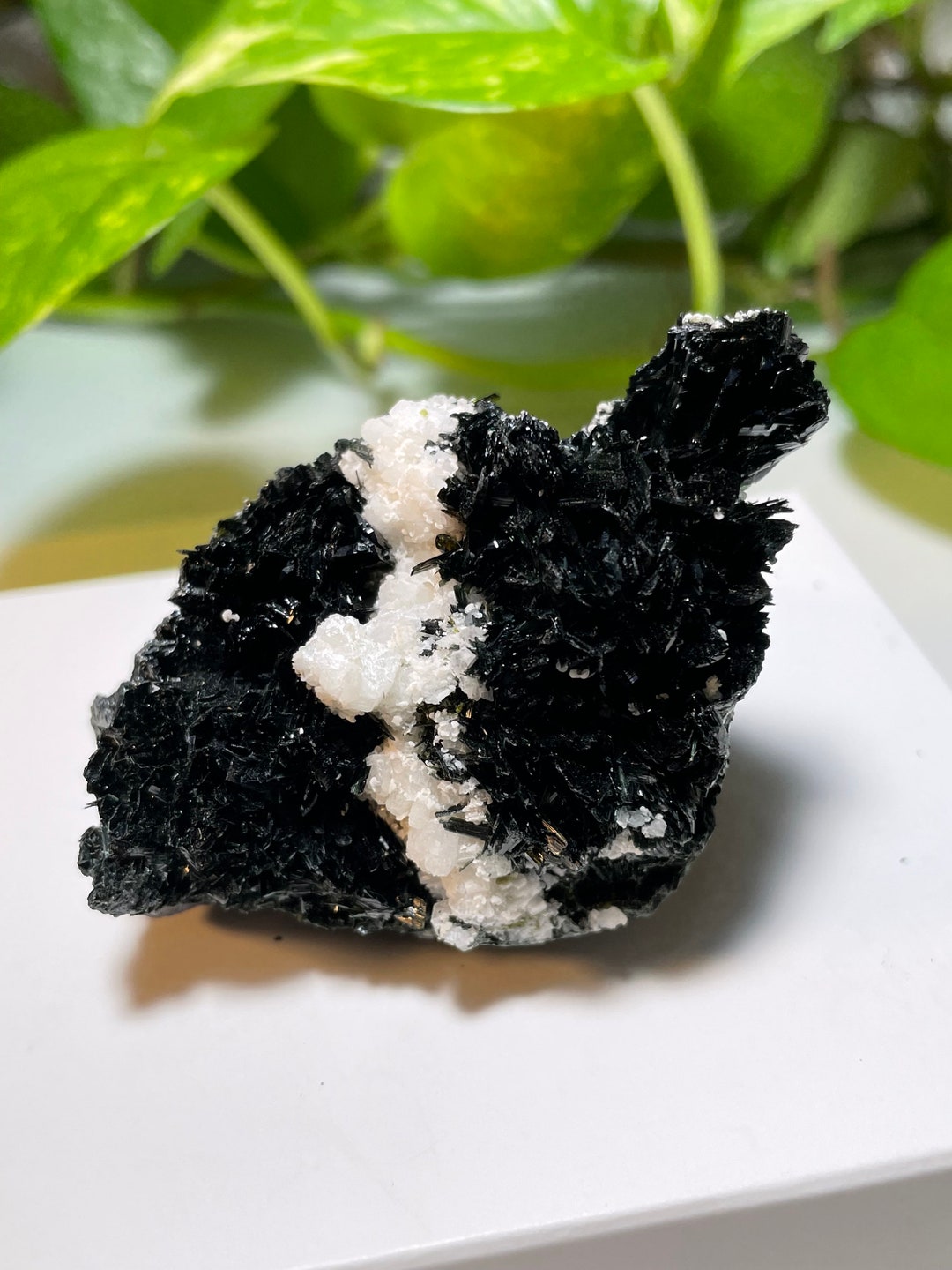 Epidote From Kenya With Albite and Hematite, 2" Old Collection Specimen ...