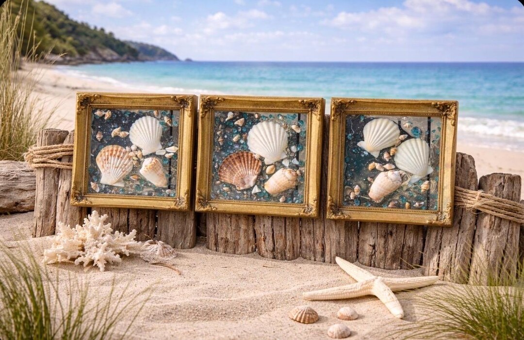 Set of 3 Coastal Art Shell Frames (6x6 Inch) - Etsy