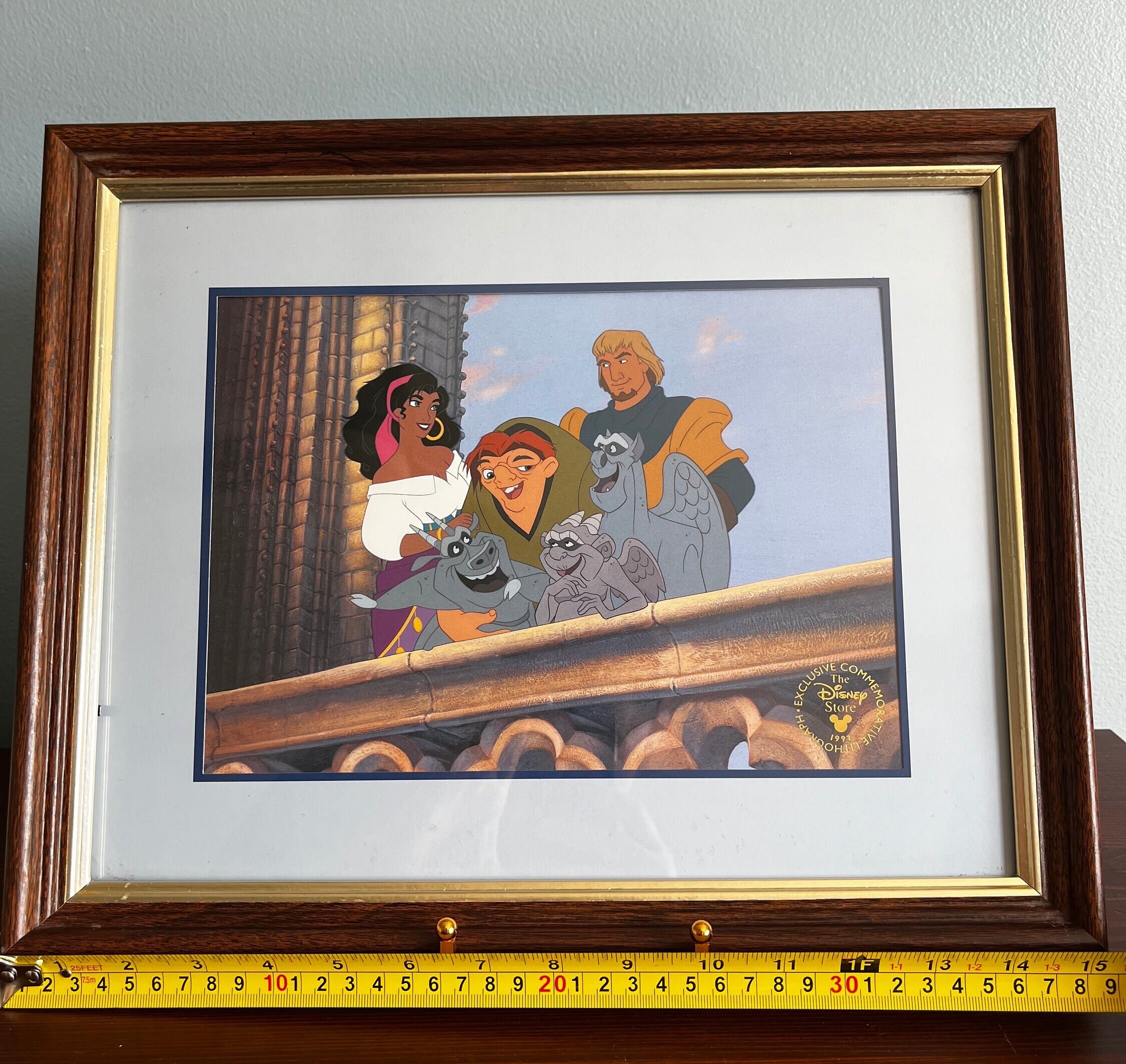 Hunchback of Notre Dame Disney Wall Art, Framed 1997 Disney Store ...