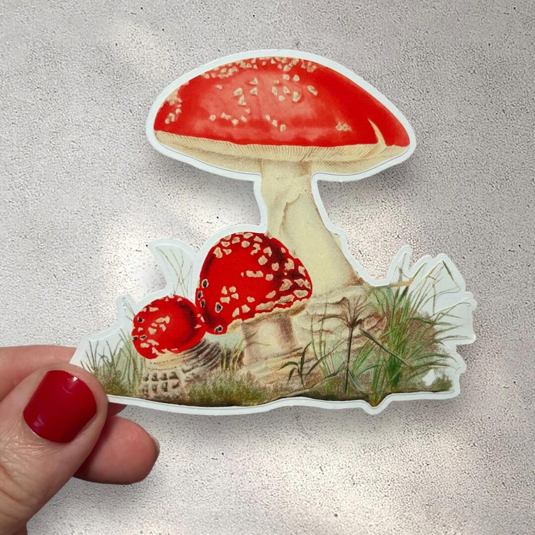 Vintage Red Mushroom Sticker Witchy Toadstool Illustration, Beautiful ...