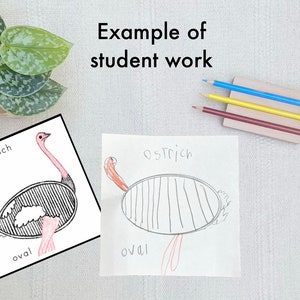 Montessori Metal Inset Designs - Continent Study of Africa - Digital ...