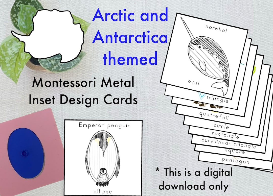 Montessori Metal Inset Design Cards- Arctic and Antarctica Themed - Etsy
