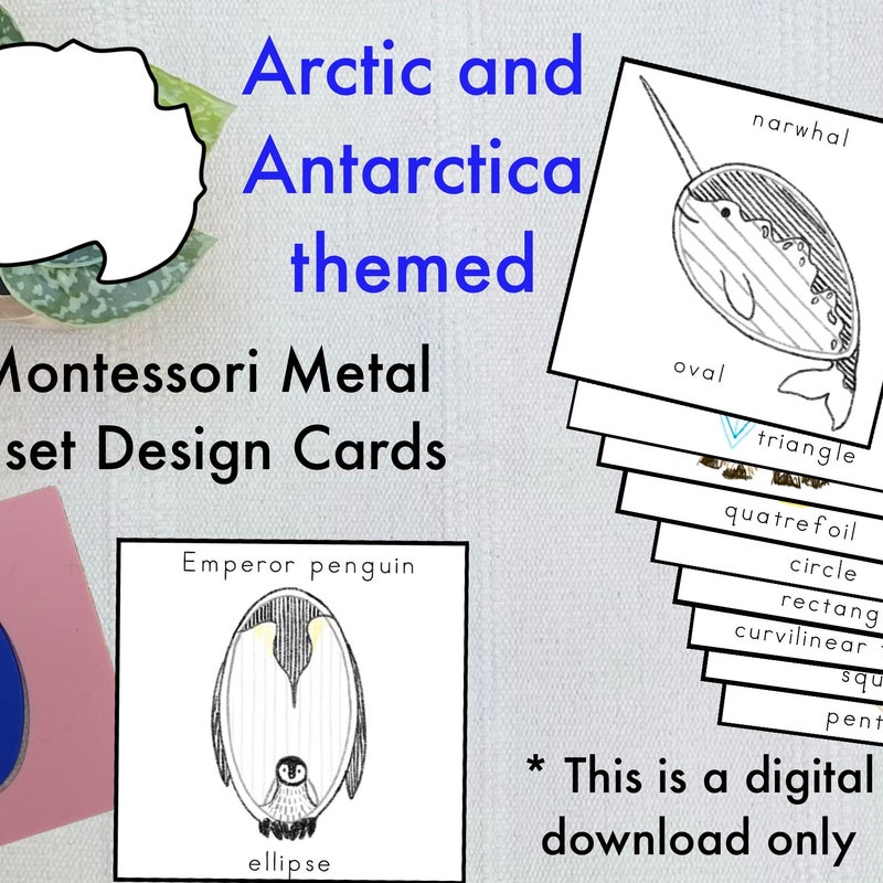 Antarctica Montessori - Etsy UK