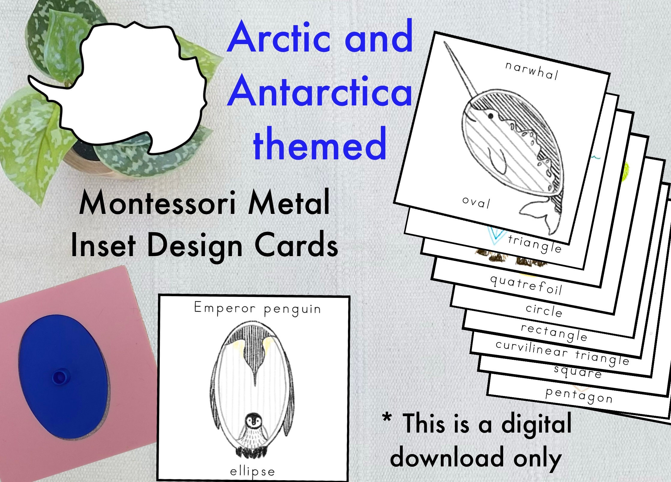 Montessori Metal Inset Design Cards- Arctic and Antarctica Themed - Etsy