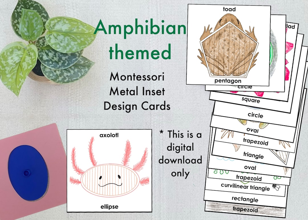 Montessori Metal Inset Amphibian Themed Design Cards - Etsy
