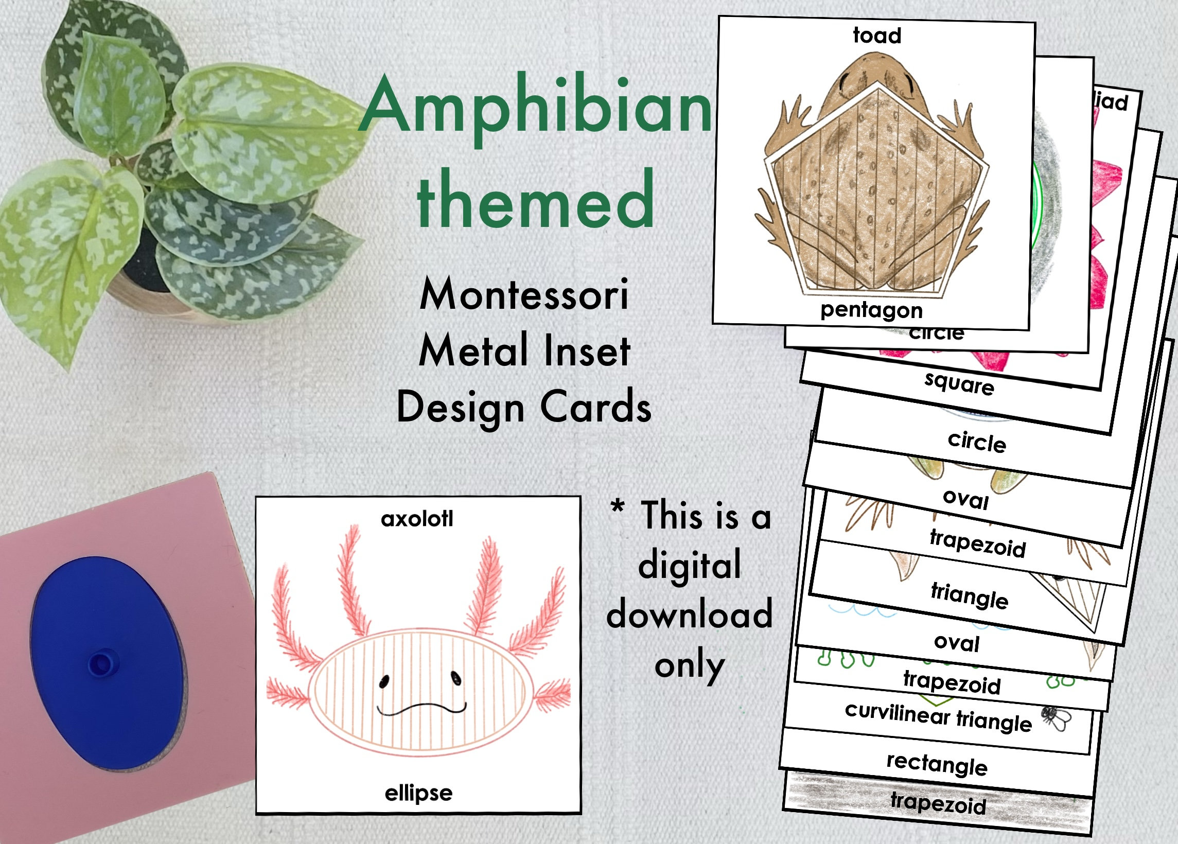 Montessori Metal Inset Amphibian Themed Design Cards - Etsy