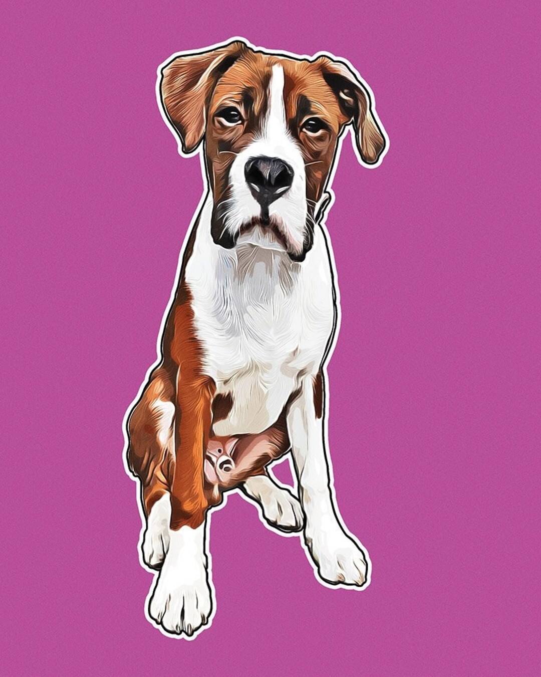 Pet Cartoon - BLOCK COLOUR - Etsy