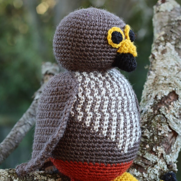 Falcon Pattern - Etsy