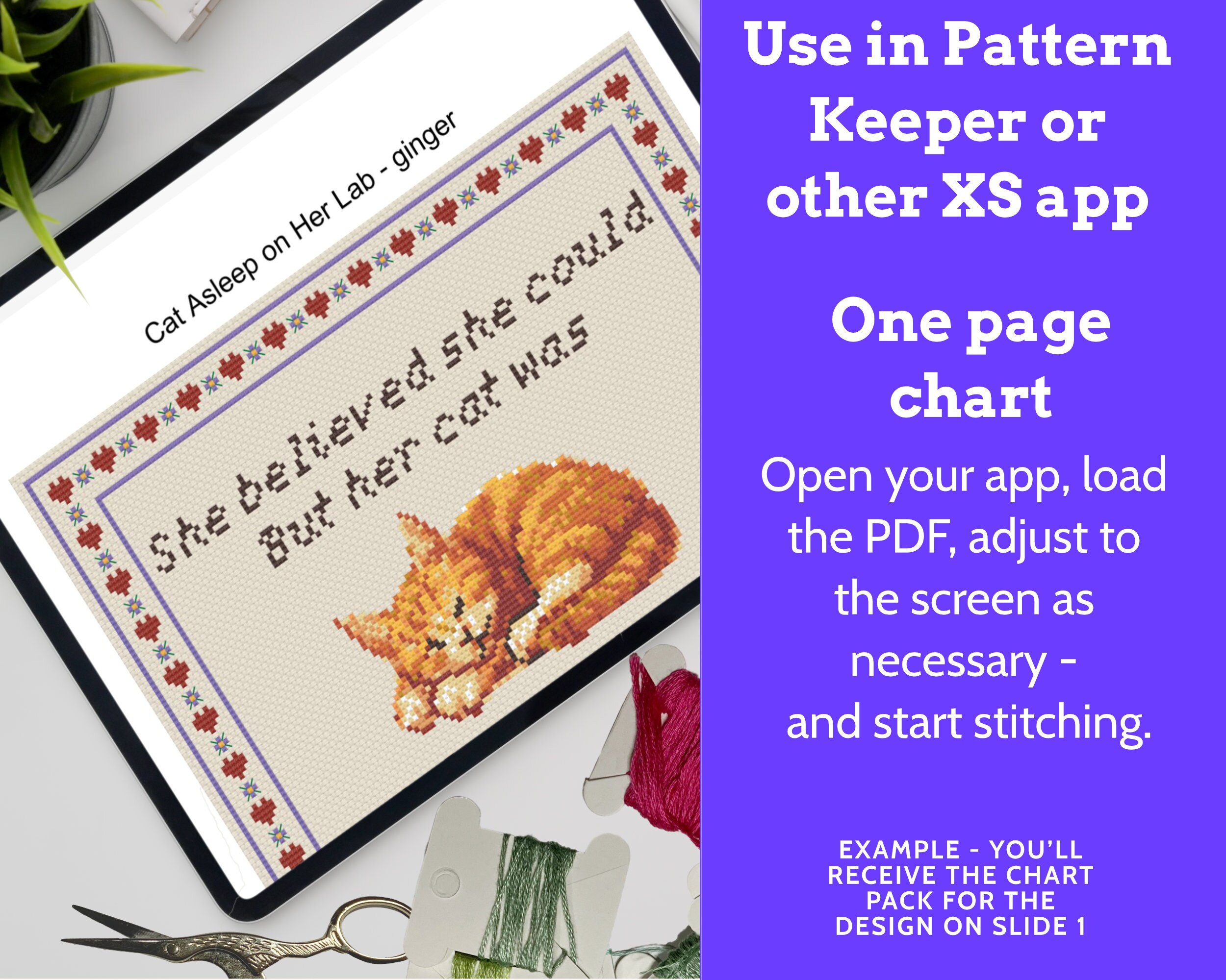 Captain Janeway Quote Cross Stitch Pattern Coffee in That Nebul ...