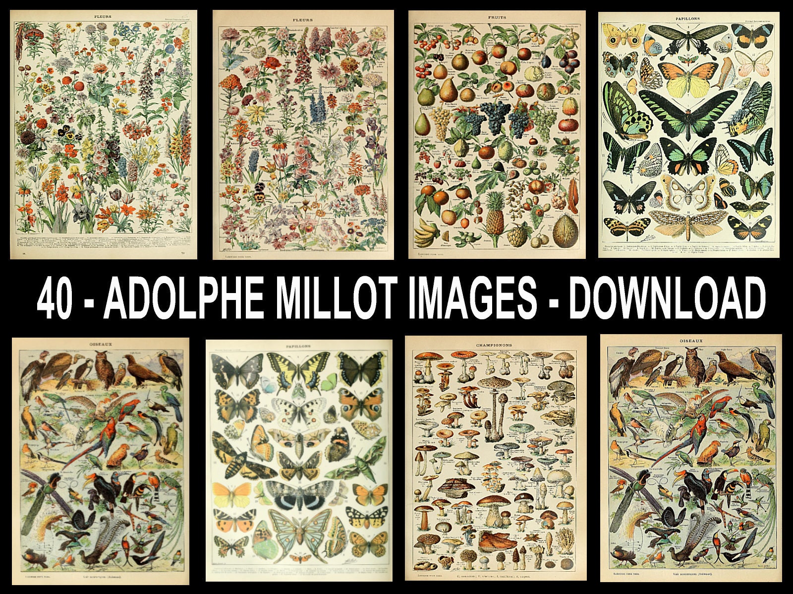 Adolphe Millot Set of 40 Prints Illustrations of Botanical - Etsy