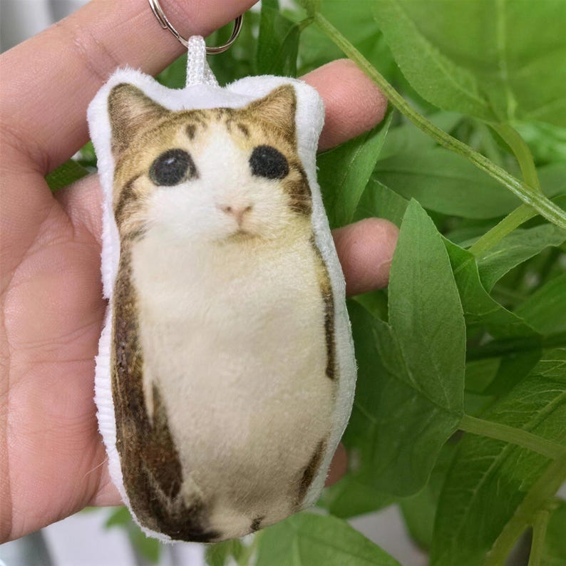 Meowl Keychain With Music, Fun Animal Keychain, Voice Play Keychain ...