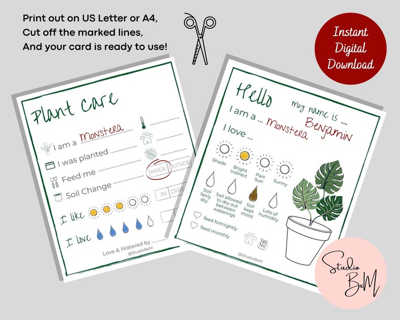 Printable Plant Care Cards: Garden Organizer & Tracker (digital ...
