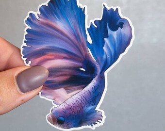 Betta Fish Sticker - Etsy