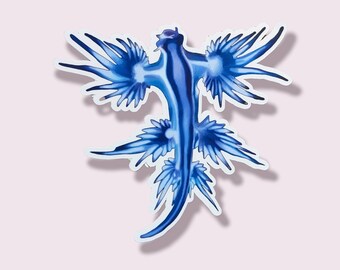 Blue Dragon Sea Slug - Etsy