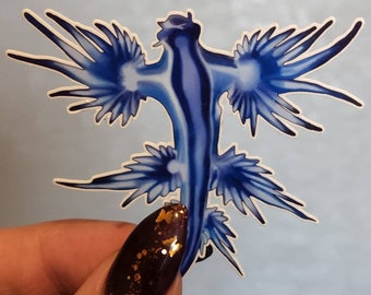 Blue Dragon Sea Slug - Etsy