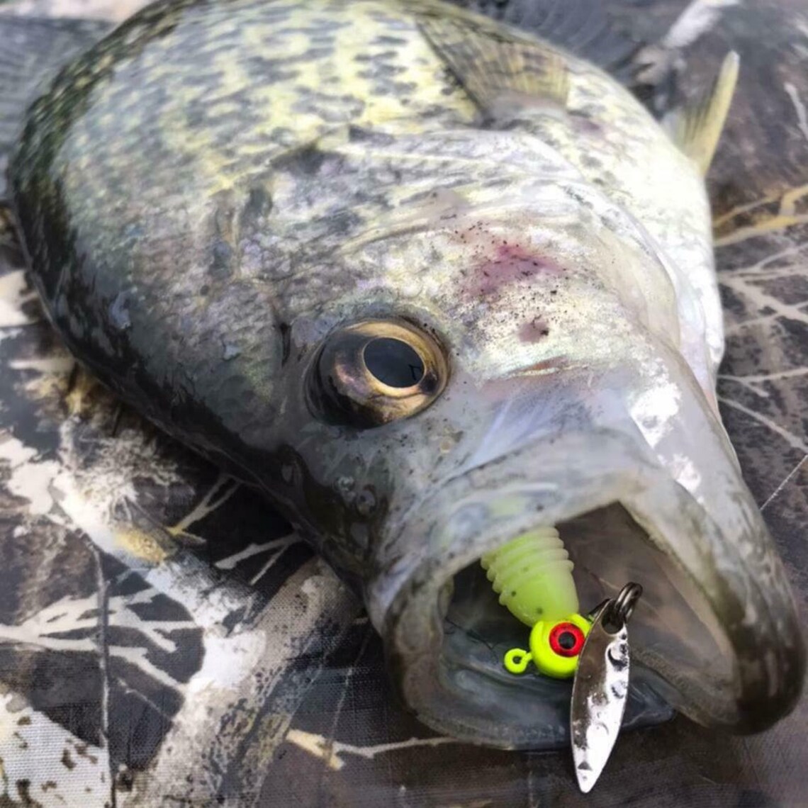 25 Pack Underspin Jig Heads Crappie Jig Head Assorted Colors 1/8 Oz - Etsy