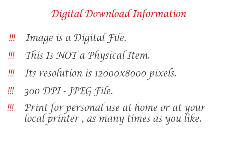 White Trees, Tropical Mural, Wallpaper Design, for Digital Print ...