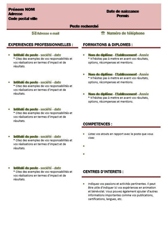 Classic French CV / Professional CV / Customizable CV / | Etsy