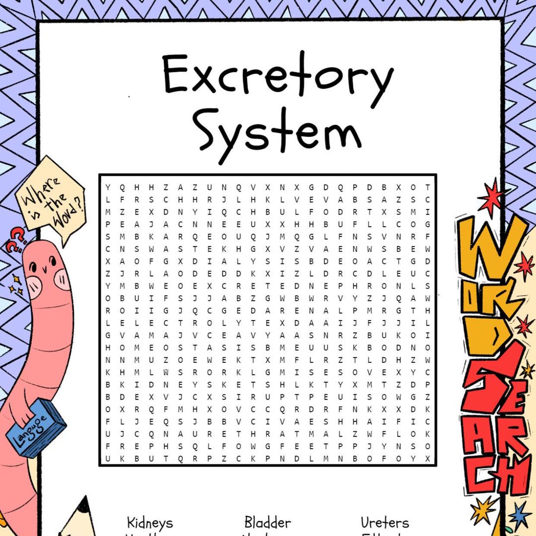 Excretory System Word Search Puzzles, Self Care Puzzles, Printable Word ...