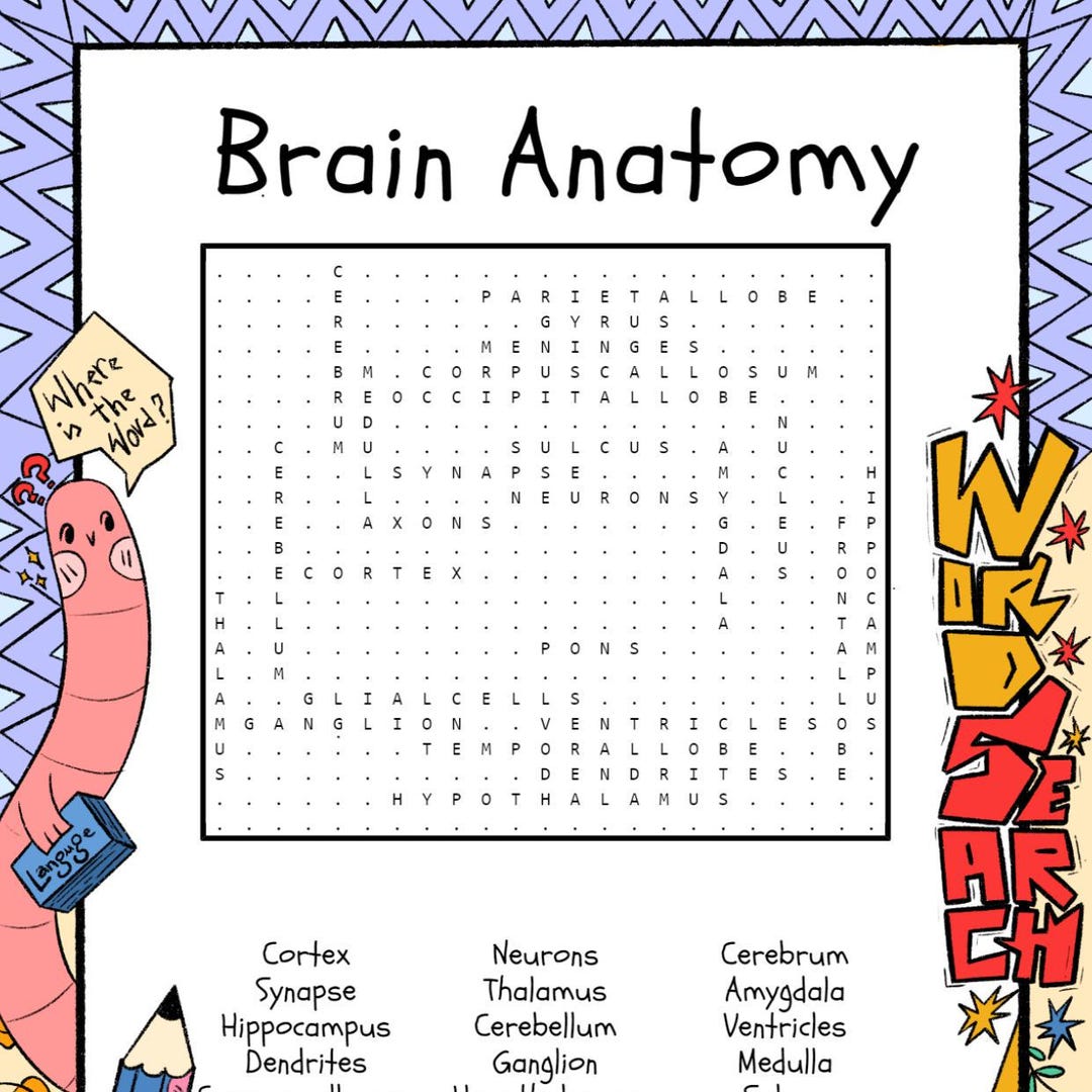 Brain Anatomy Word Search Puzzles, Self Care Puzzles, Printable Word ...