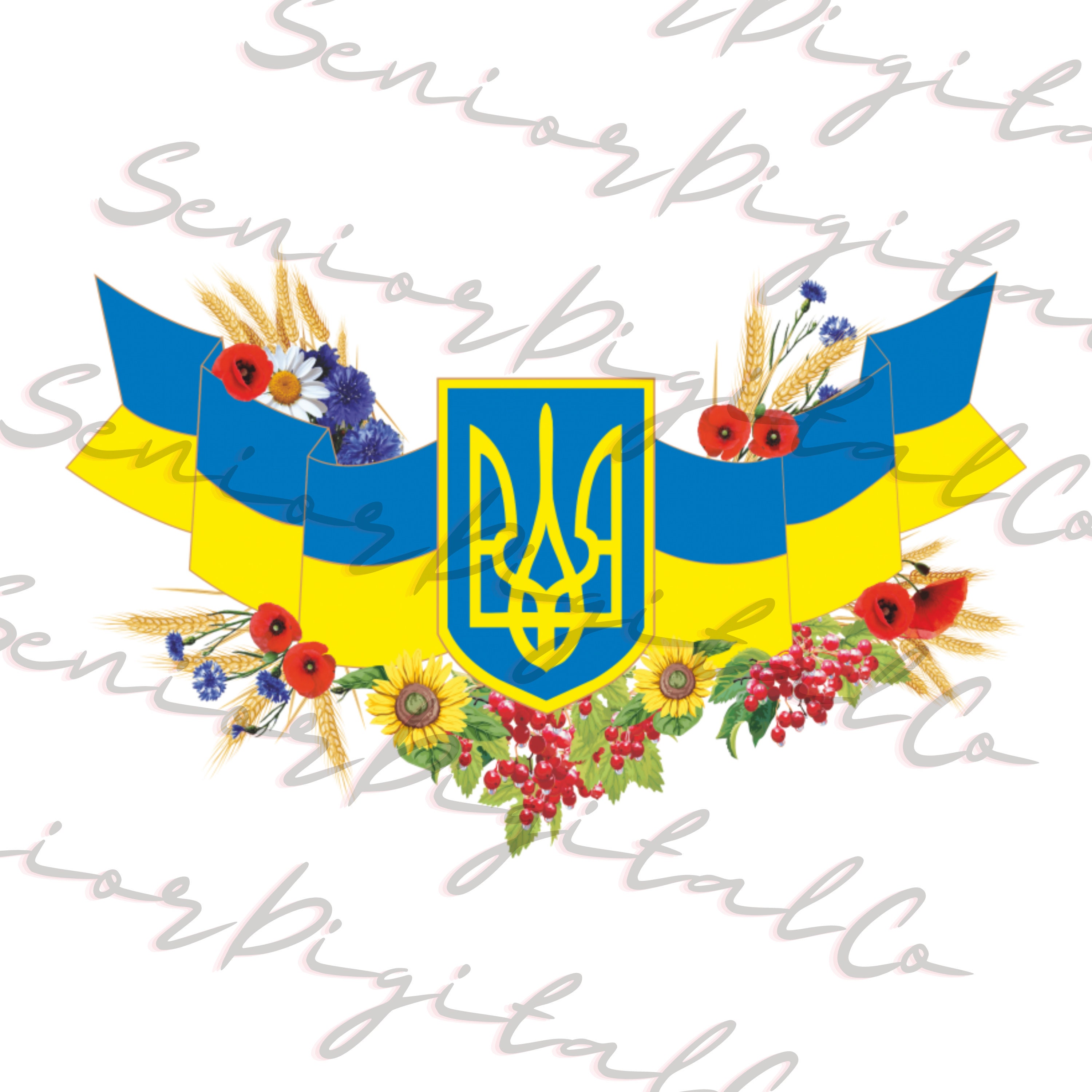 Ukraine Png, Ukrainian Png , Ukraine Flag, Ukraine Clipatr ,sublimation ...