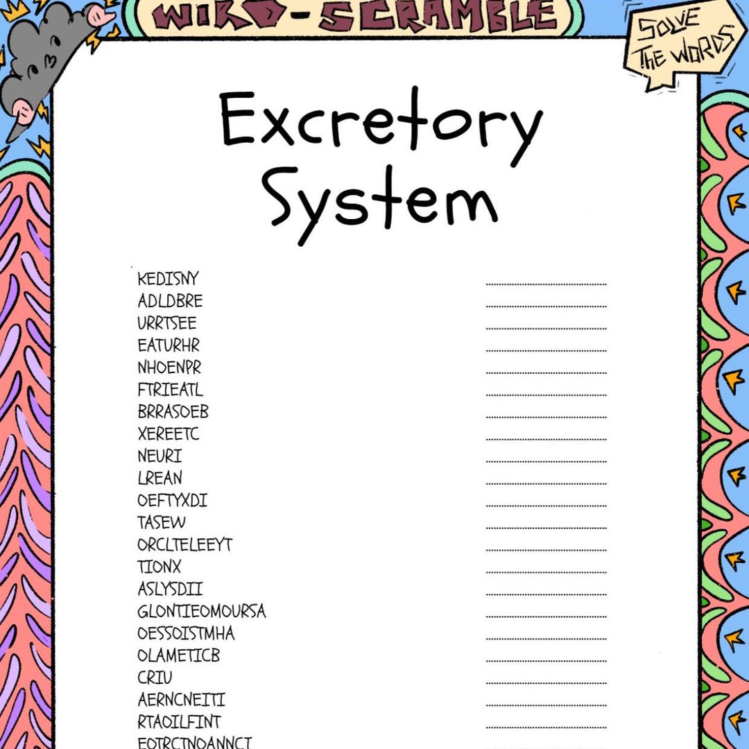 Excretory System Word Scramble Puzzles, Self Care Puzzles, Printable ...