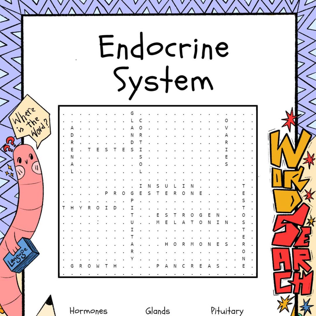Endocrine System Word Search Puzzles, Self Care Puzzles, Printable Word ...