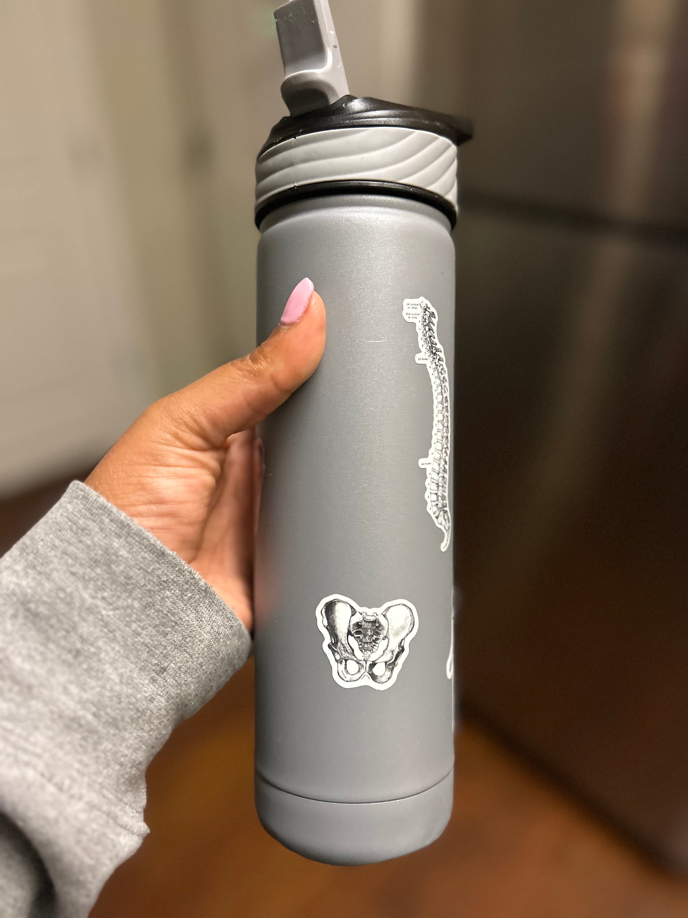 Anatomically Correct Pelvis 2"x2" Sticker - Etsy