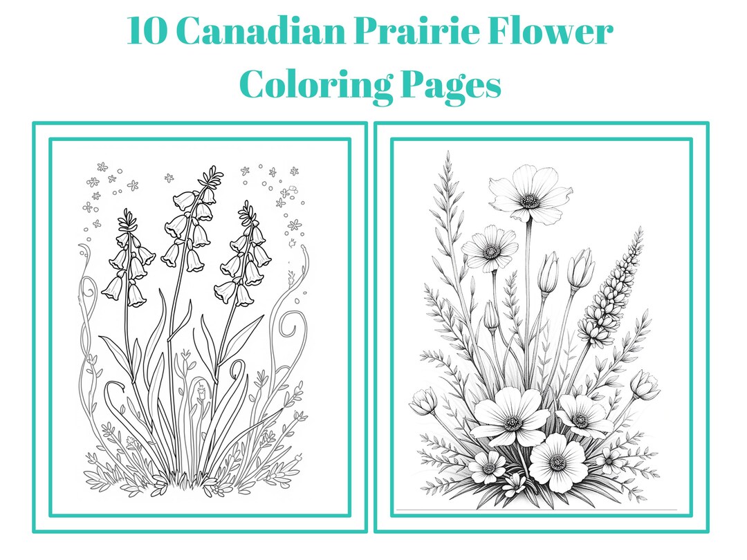 Canadian Prairie Flowers Coloring Book – 10-page Printable Adult ...