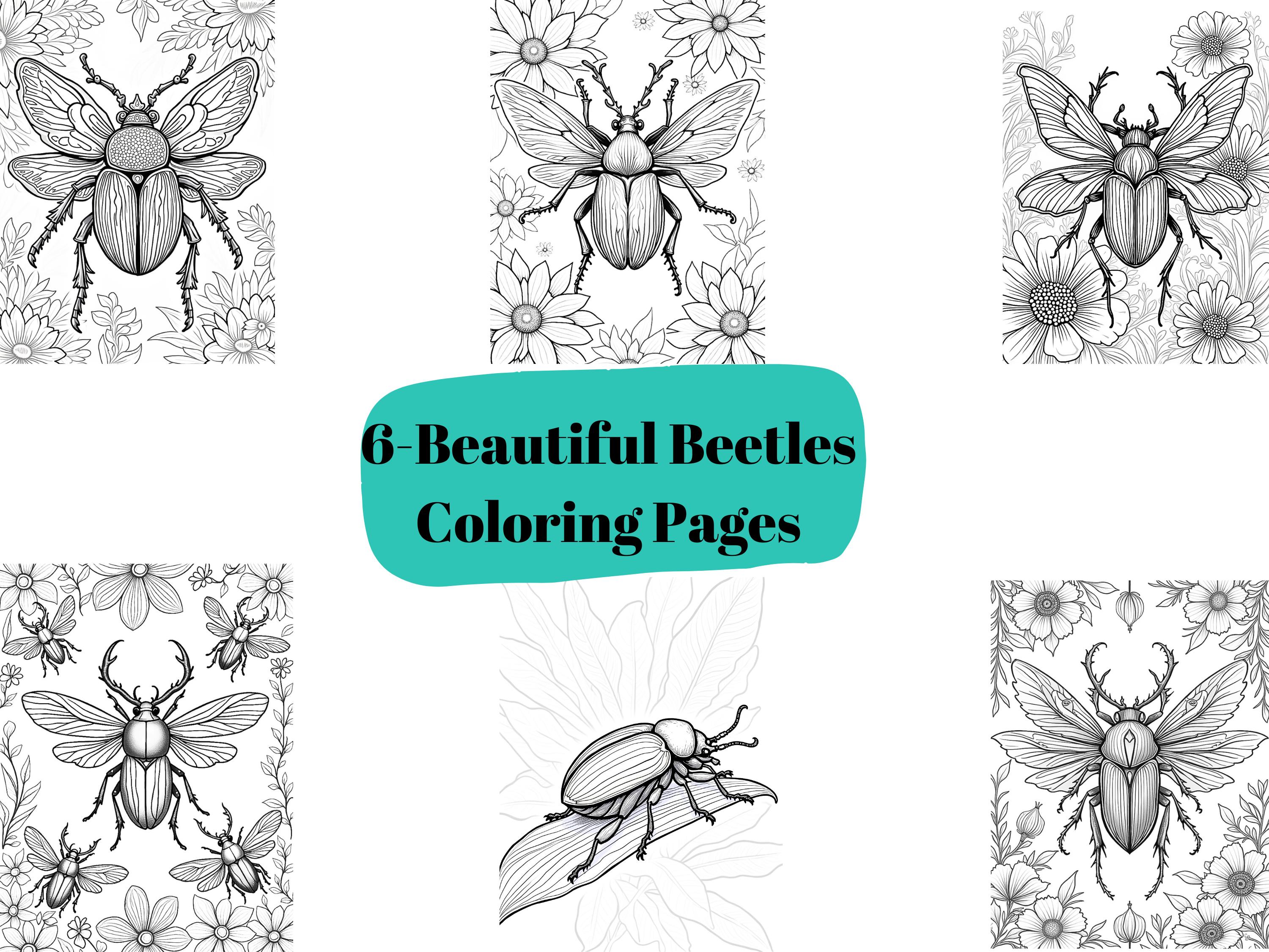 Crystal-winged Beetles Coloring Book | Fantasy Insects & Floral ...