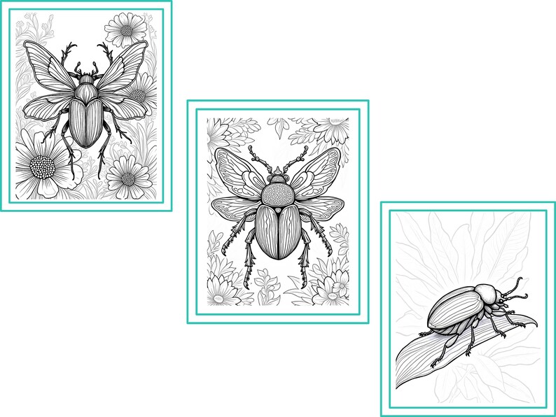 Crystal-winged Beetles Coloring Book | Fantasy Insects & Floral ...